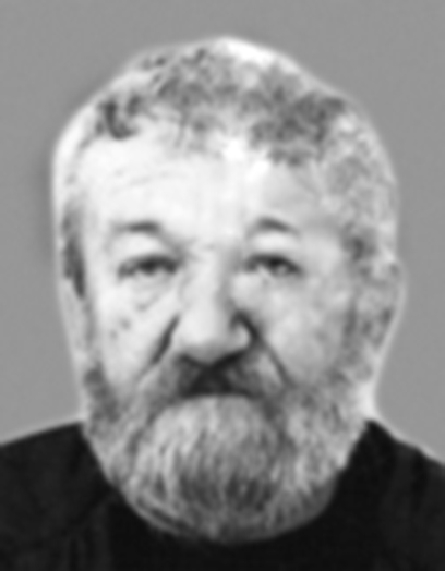 RANKO Labuda PERUNOVIĆ - Dan Umrlice