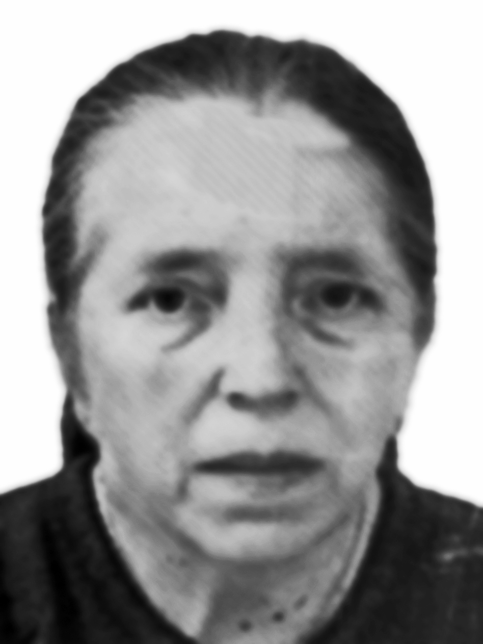 VIOLETA Kira ANDONOVSKA - Dan Umrlice